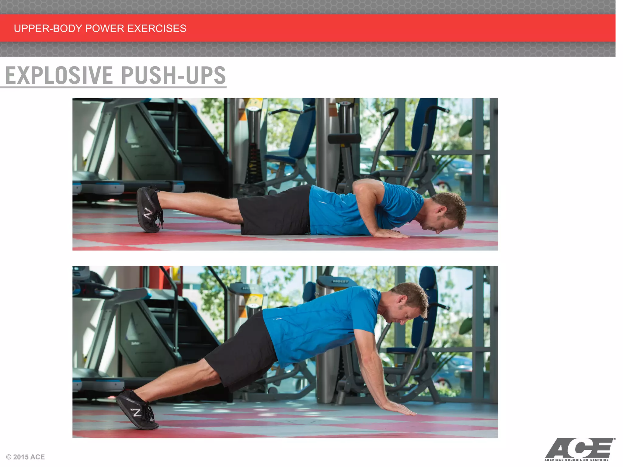 Upper body exercises | PDF