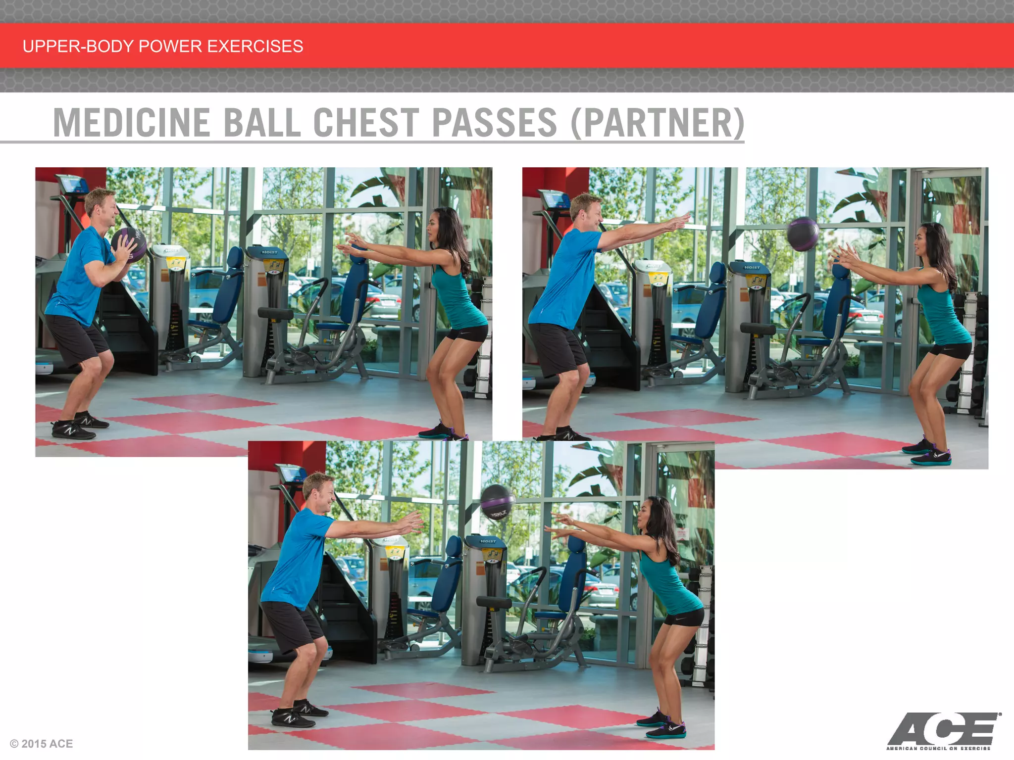 Upper body exercises | PDF