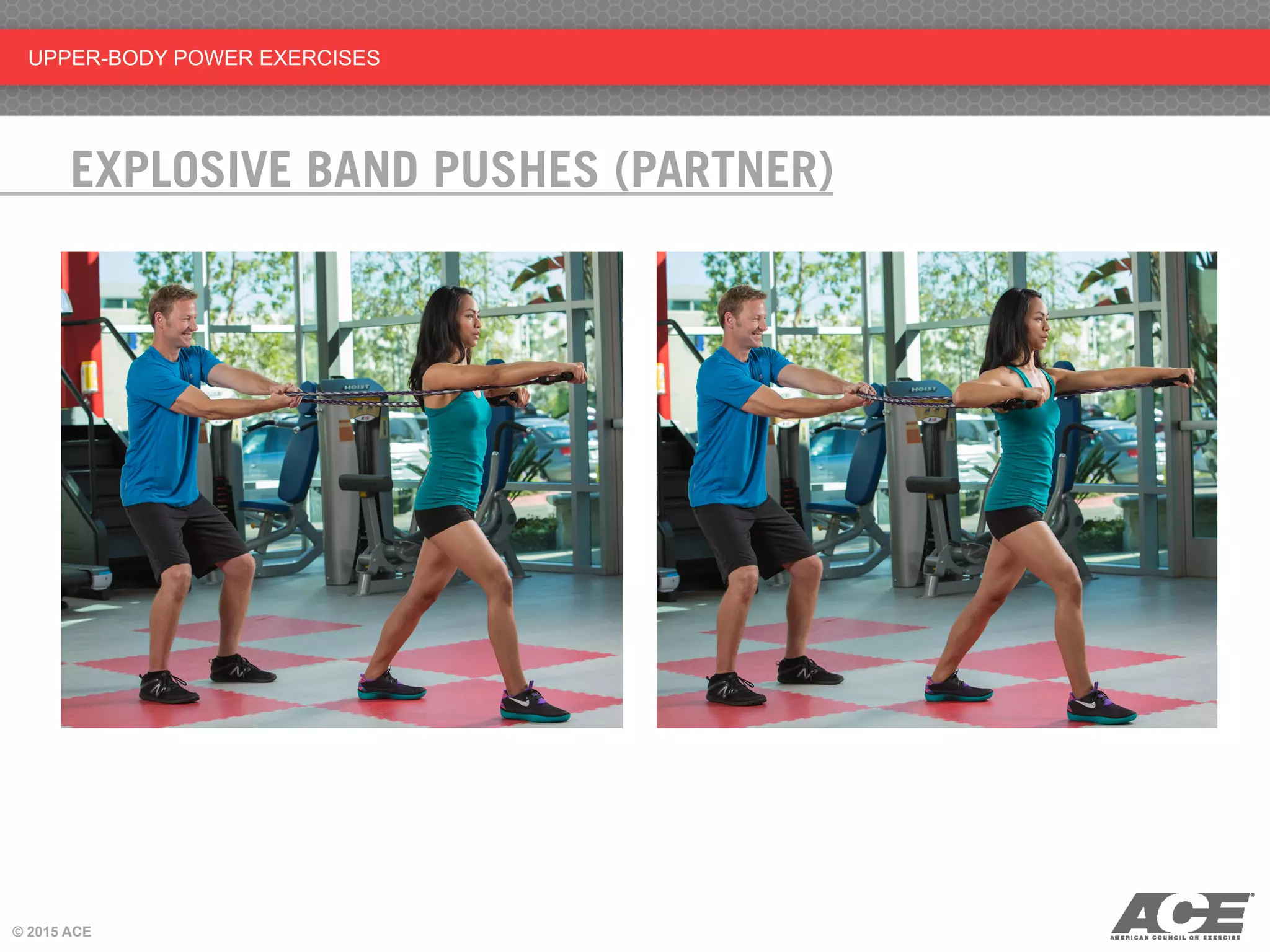 Upper body exercises | PDF