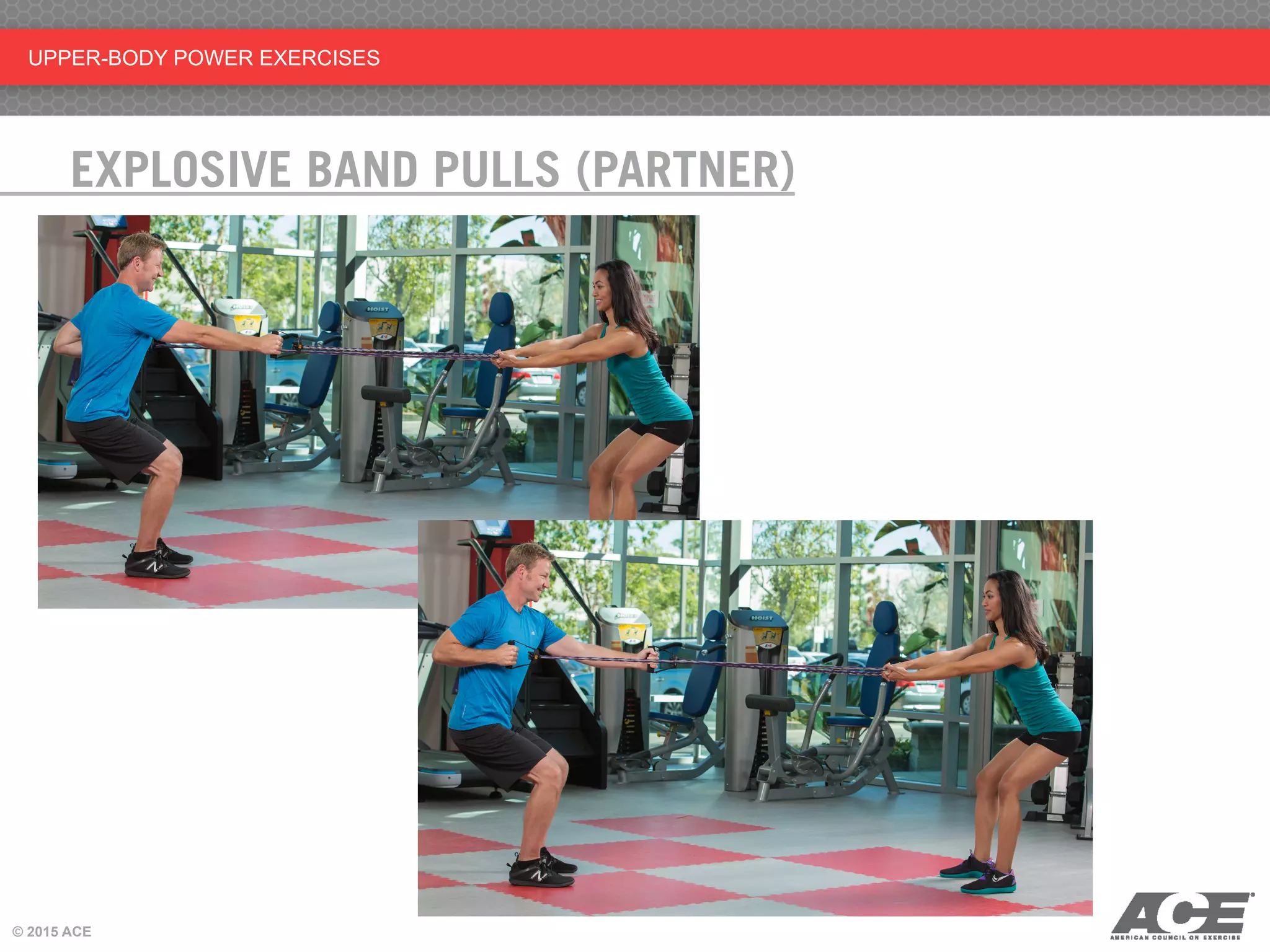 Upper body exercises | PDF