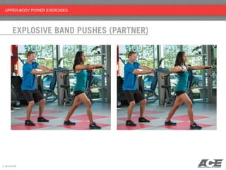 Upper body exercises | PDF