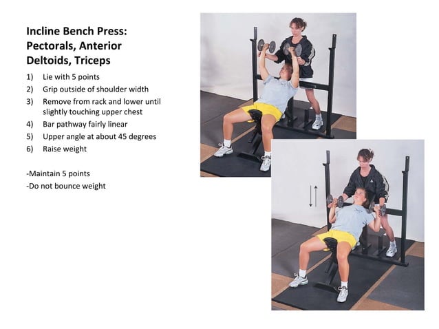 Upper Body Exercises Chest Shoulders | PPT