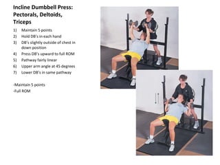 Upper Body Exercises Chest Shoulders | PPT