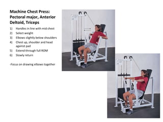 Upper Body Exercises Chest Shoulders | PPT