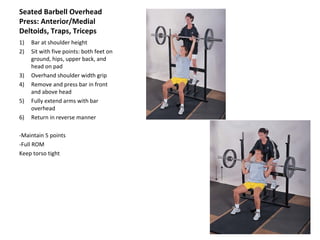 Upper Body Exercises Chest Shoulders | PPT