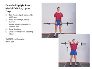 Upper Body Exercises Chest Shoulders | PPT