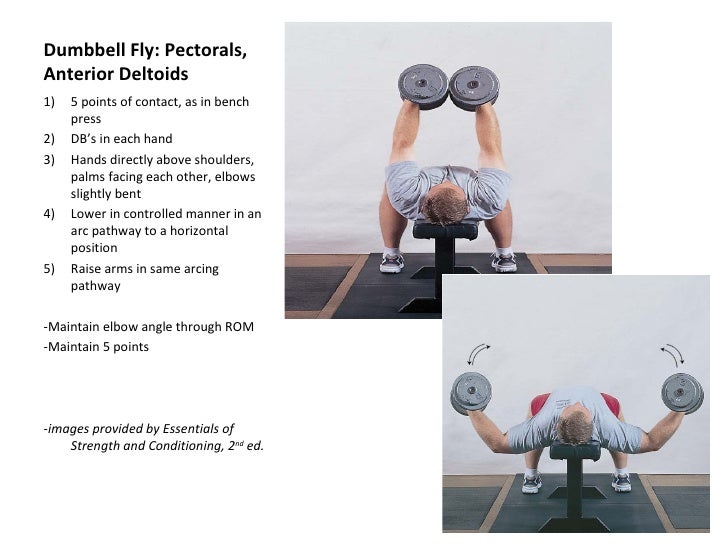 DIY Garden Bench Ideas - Free Plans for Outdoor Benches: Bench Press ...