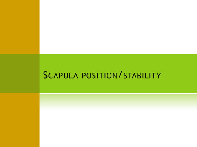 Upper Body Structural Balance | PPT