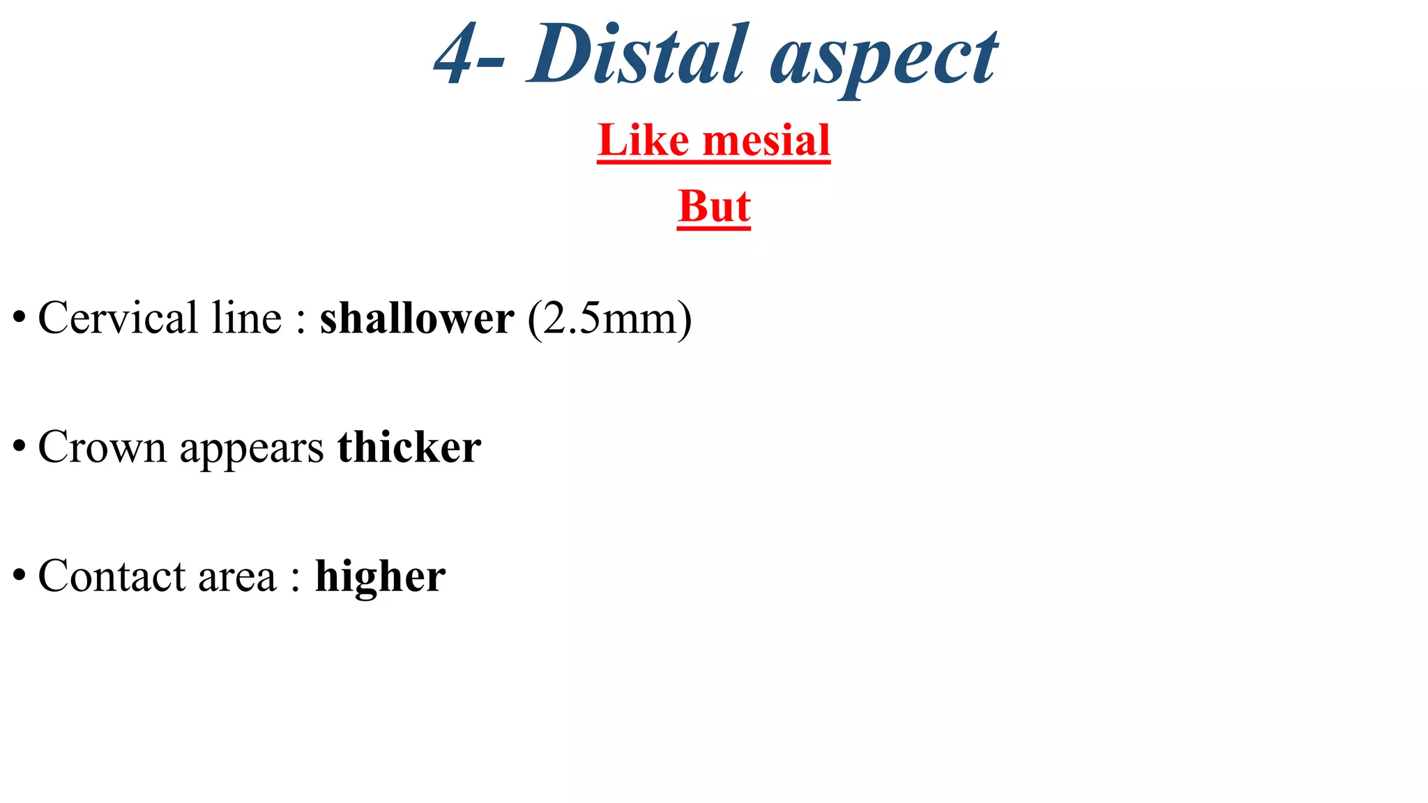 Upper Central Incisor.pptx | Dental Health | Diseases and Conditions