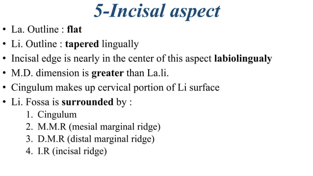 Upper Central Incisor.pptx