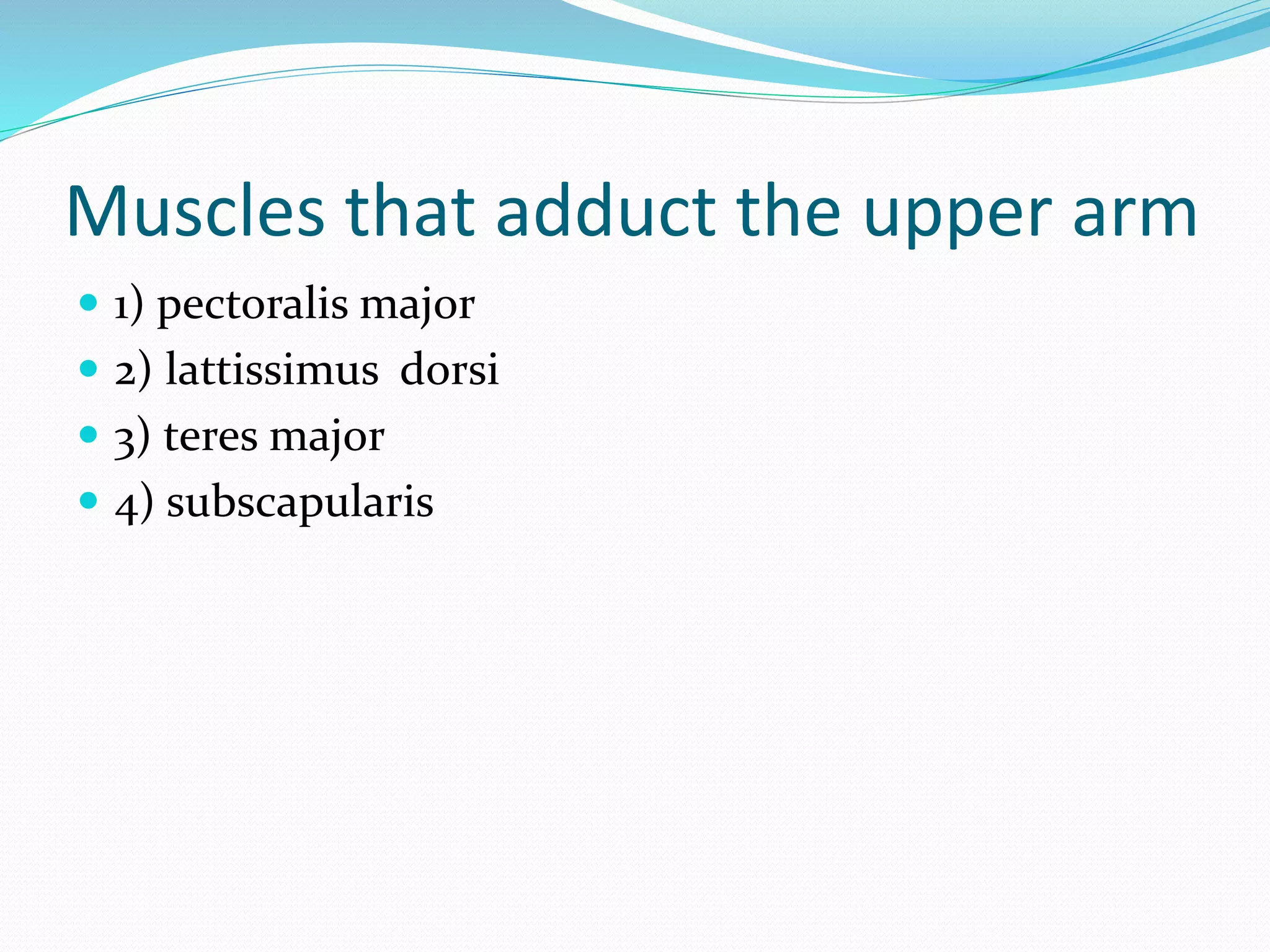 Anatomy of Upper extremity | PPTX