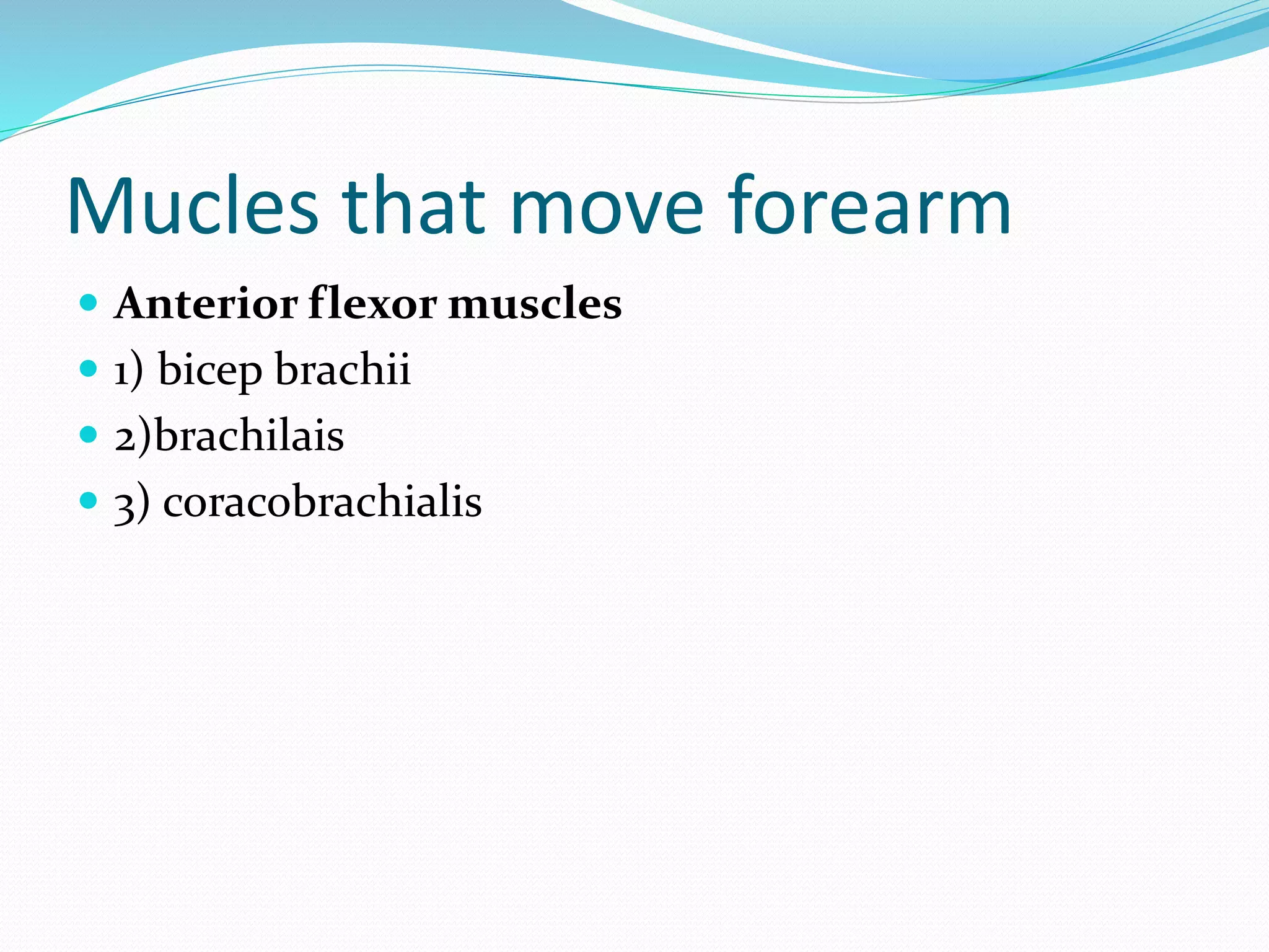 Anatomy of Upper extremity | PPTX