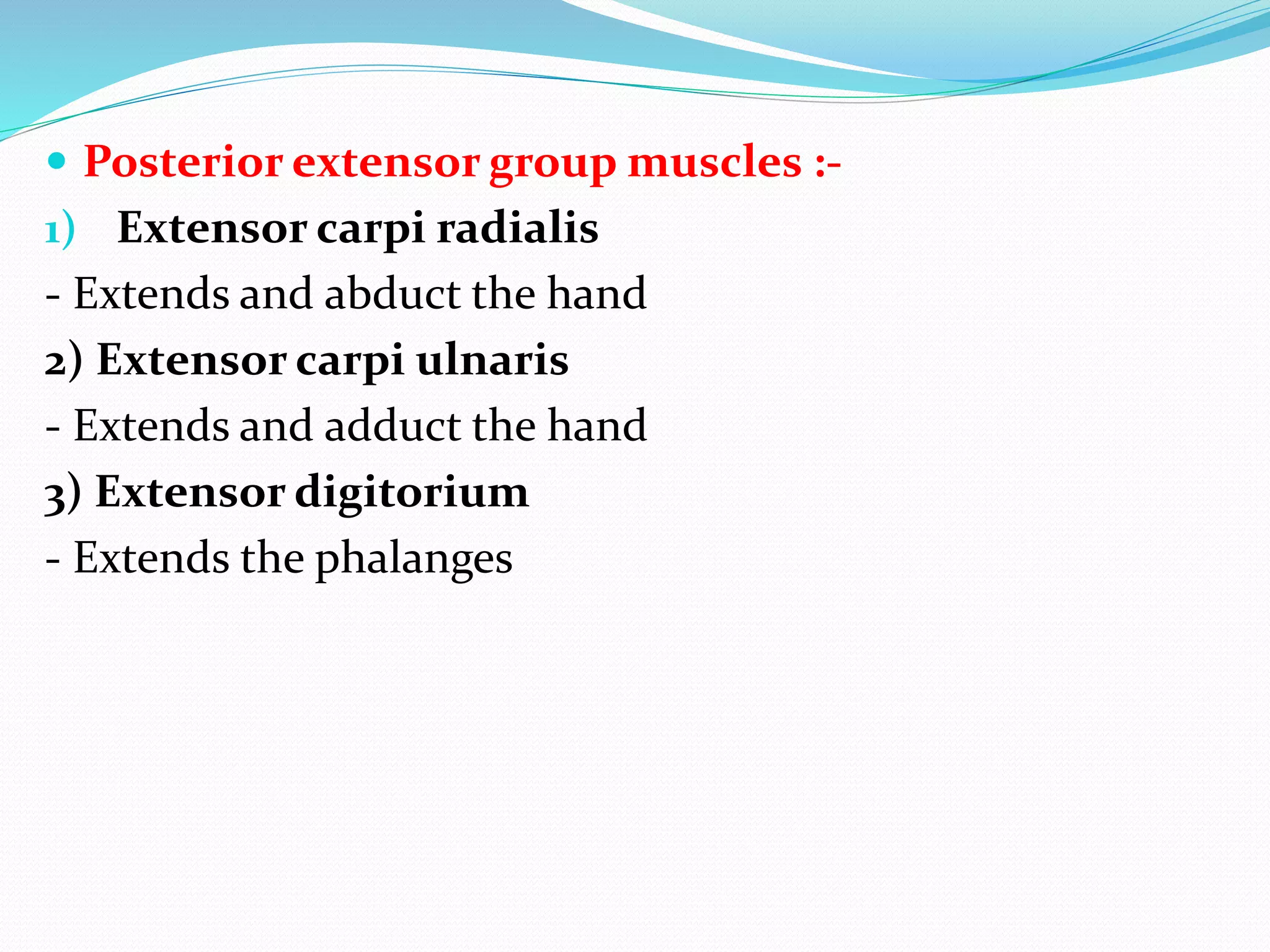Anatomy of Upper extremity | PPTX