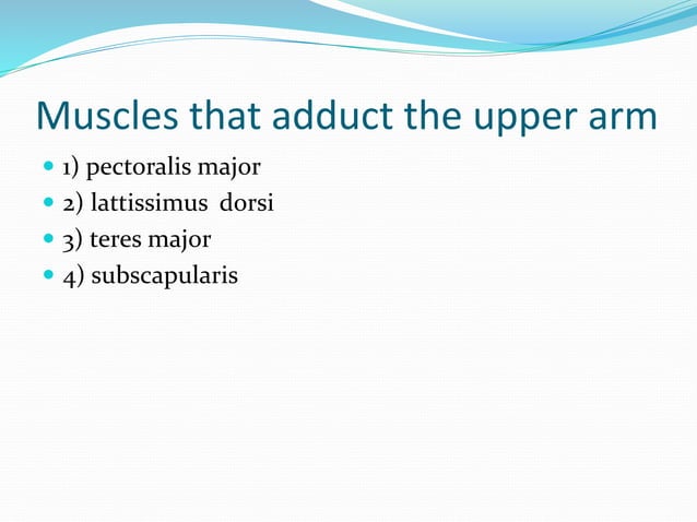Anatomy of Upper extremity | PPTX