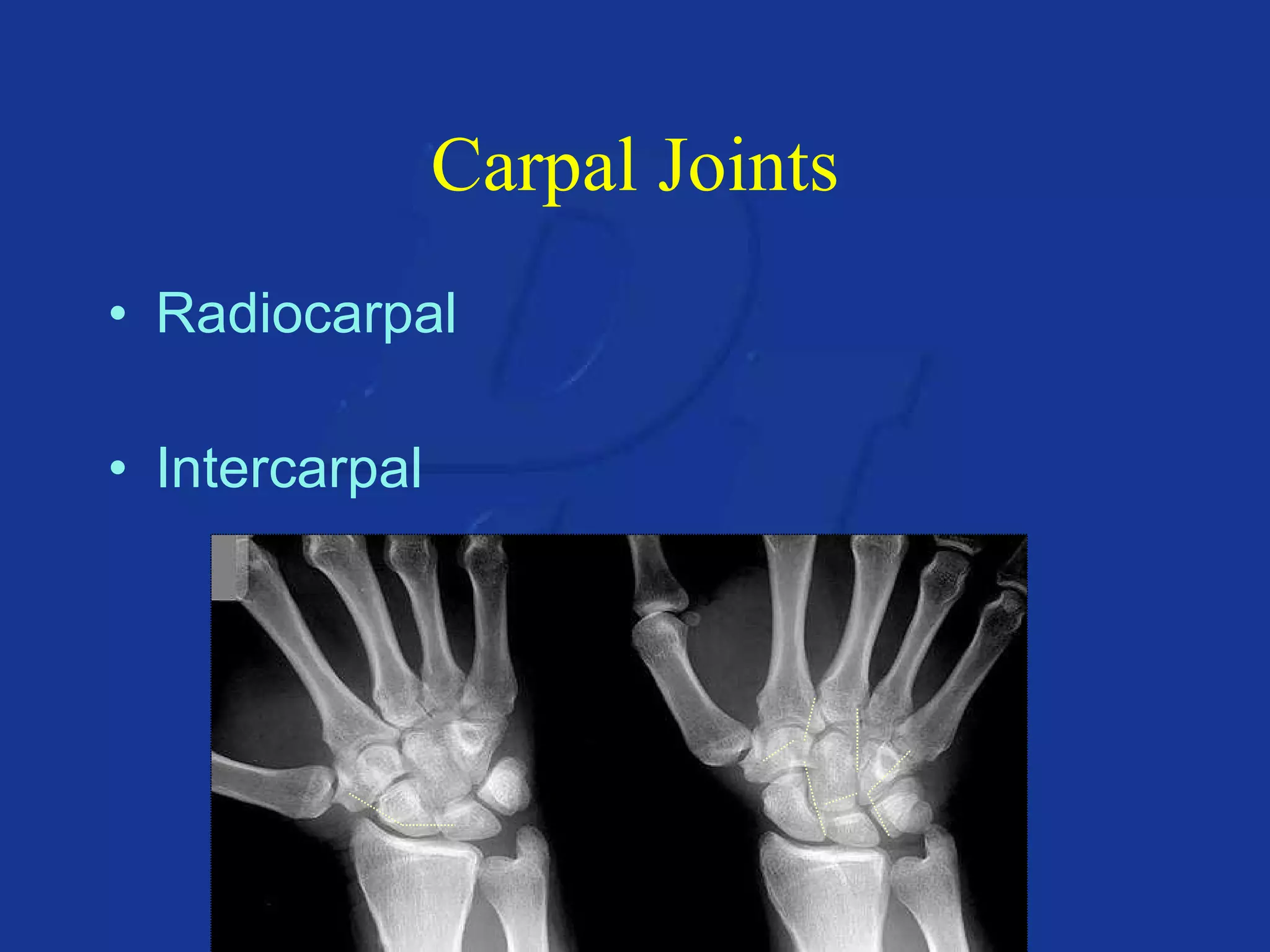 Upper extremity anatomy & positioning | PPT