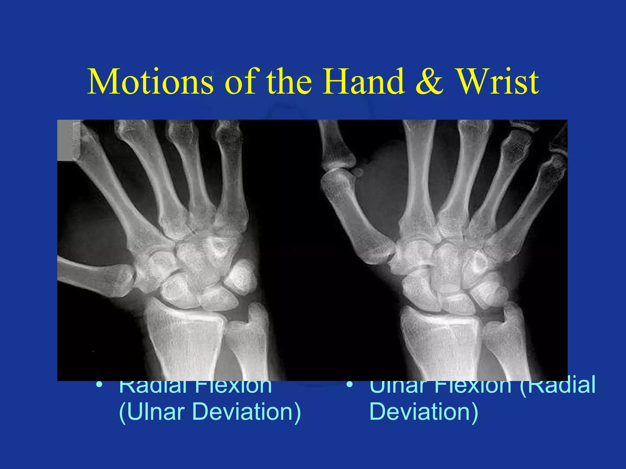 Upper extremity anatomy & positioning | PPT