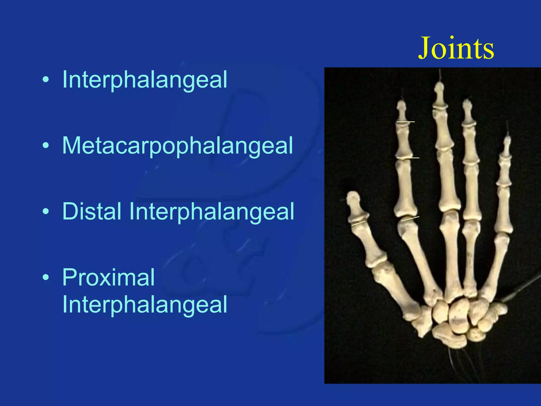 Upper extremity anatomy & positioning | PPT