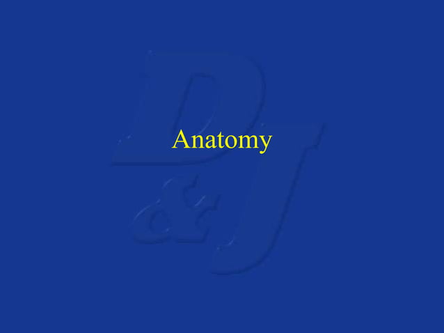 Upper extremity anatomy & positioning | PPT | Death, Injury, or ...