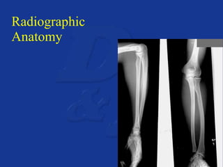 Upper extremity anatomy & positioning | PPT