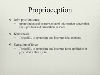 Upper Extremity Balance | PPT