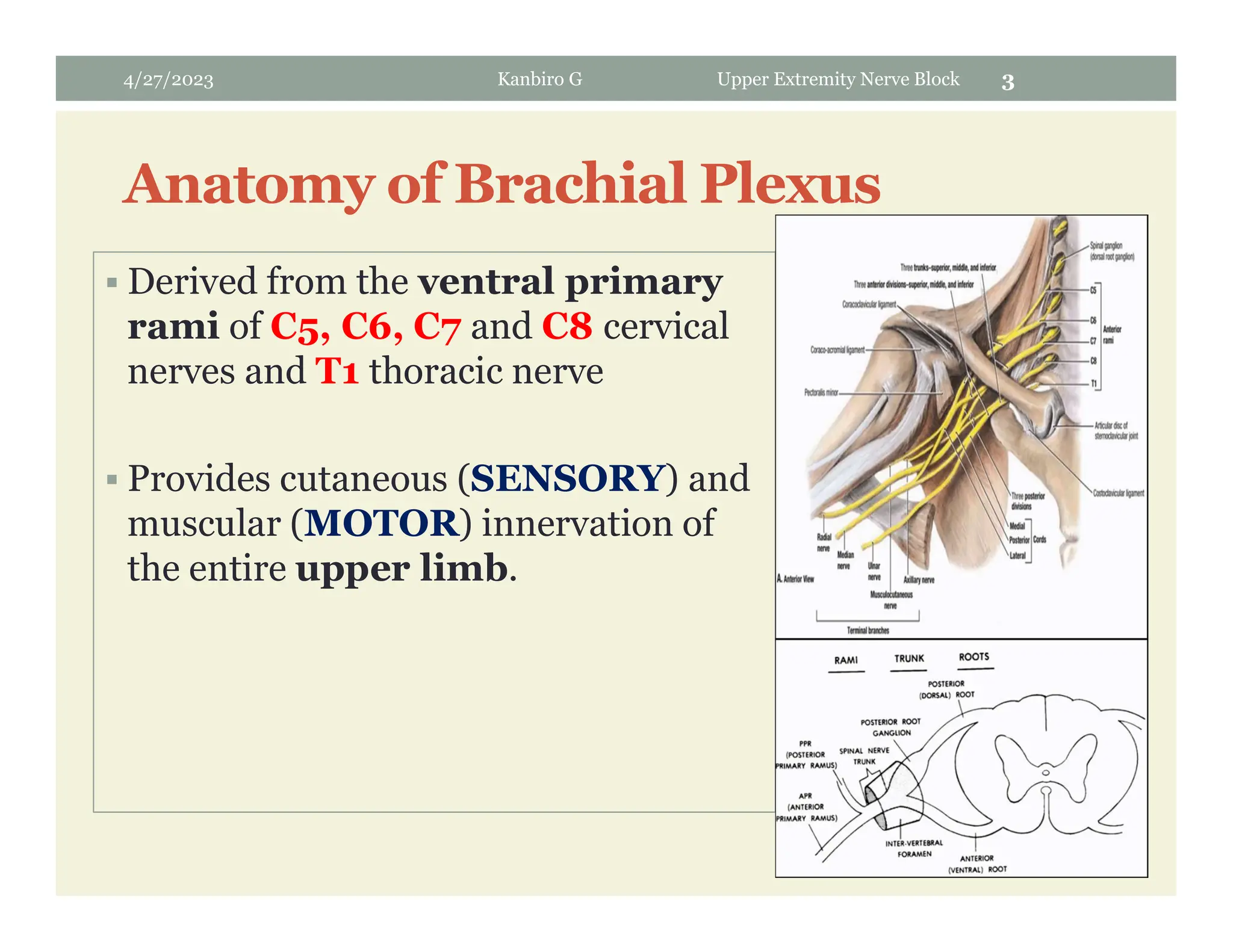 Upper Extremity Block.pdf
