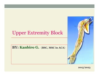 Upper Extremity Block.pdf