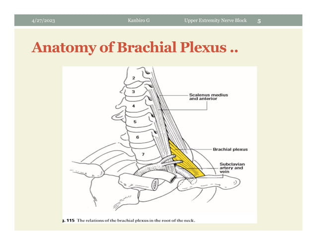 Upper Extremity Block.pdf