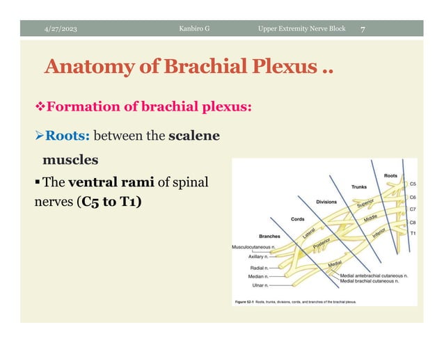 Upper Extremity Block.pdf