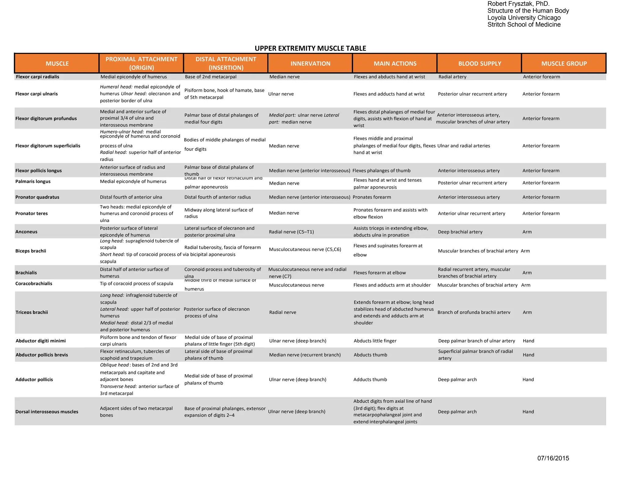 upperextremitymuscletable (1).docx