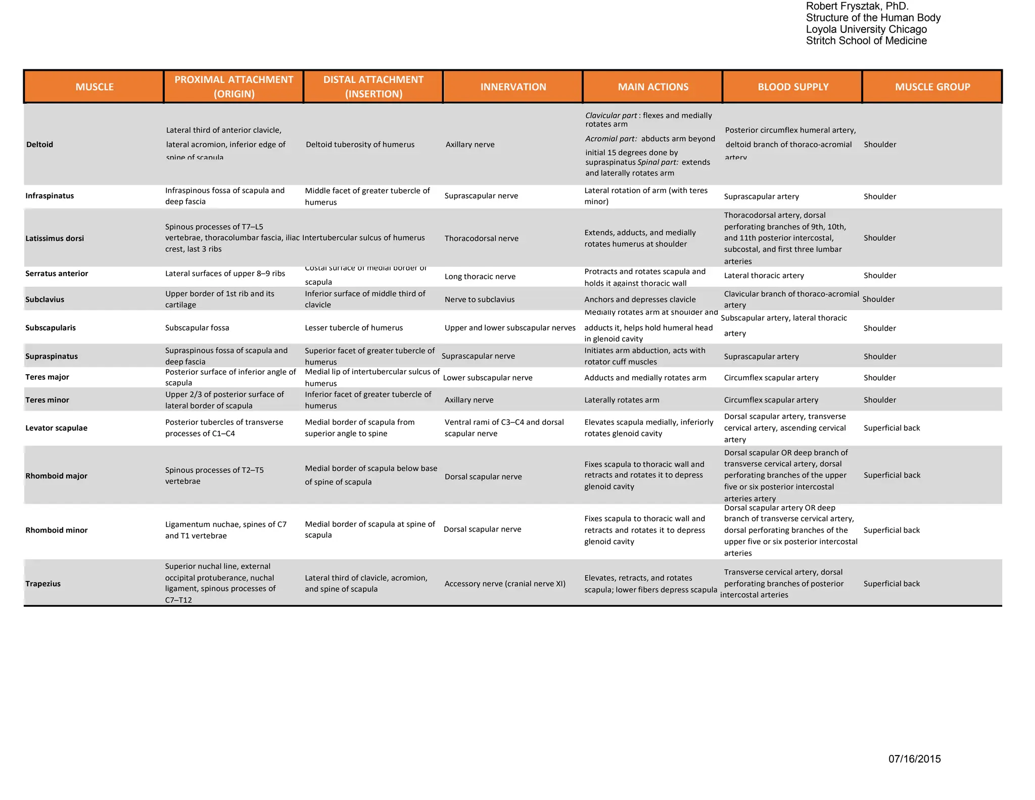upperextremitymuscletable (1).docx