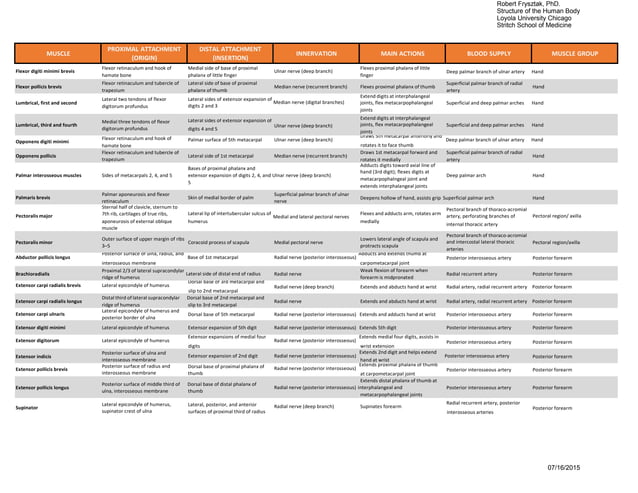 upperextremitymuscletable (1).docx