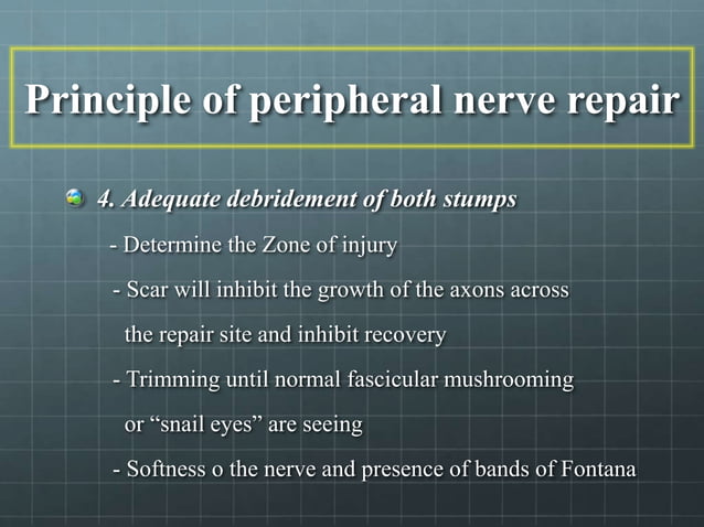 Upper extremity peripheral nerve injury | PPTX