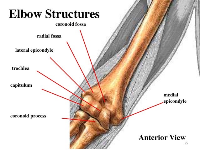 Upper extrimities and spine injuries