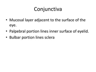 Upper eyelid reconstruction | PPTX