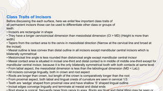 Upper lateral incisors.pptx