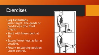 Upper leg muscles and Thorax | PPTX