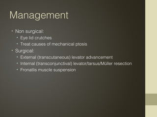 Upper Lid Ptosis | PPT