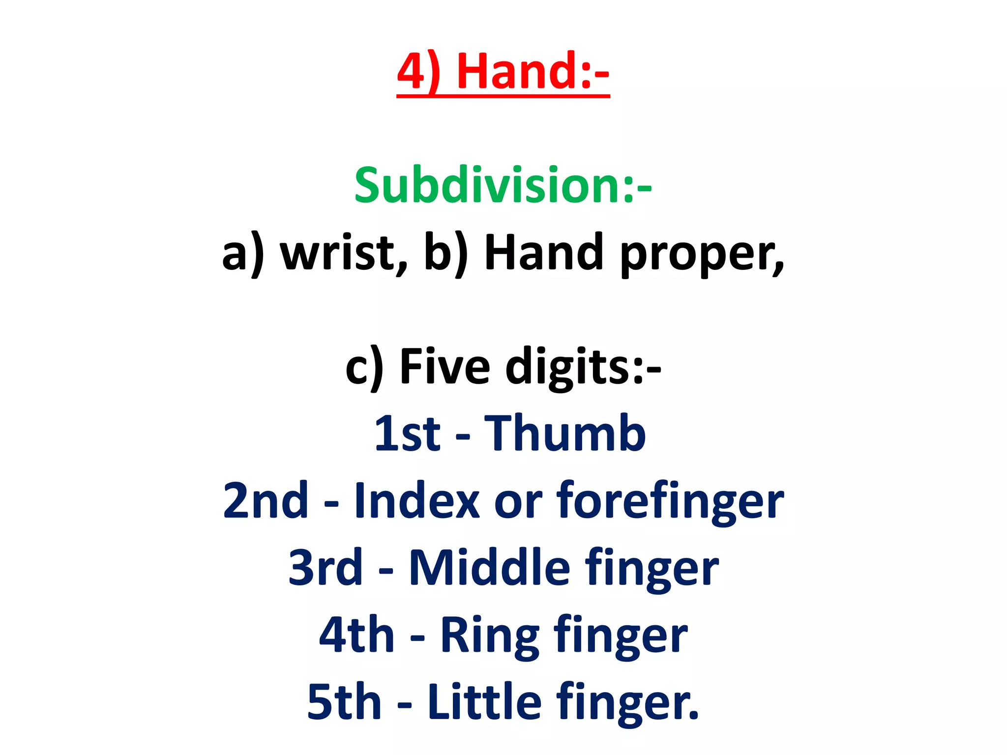 Parts of upper limbs | what is upper limb? | Bones | Joints | PPTX ...