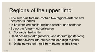 upperlimb-221121190207-73908393.pdf