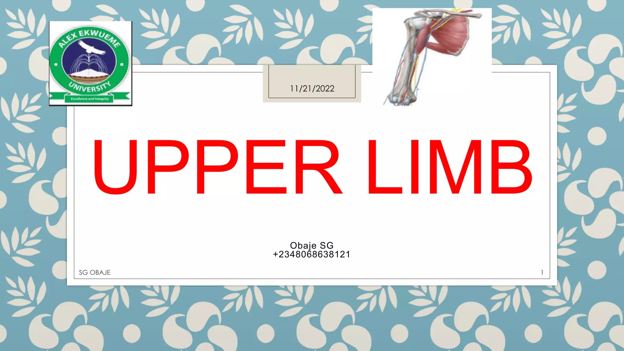 Upper Limb | PPT