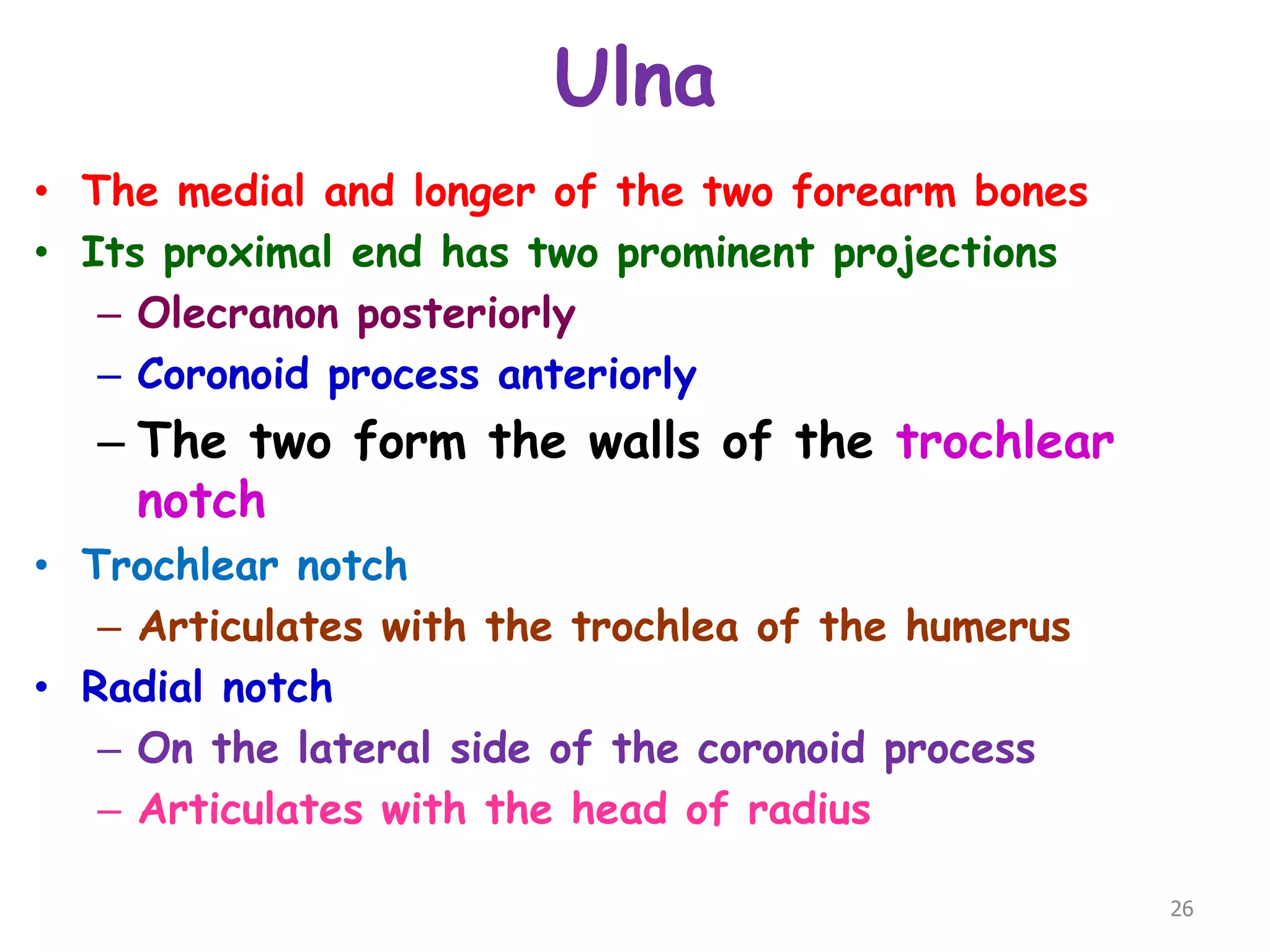 Upper limb .ppt