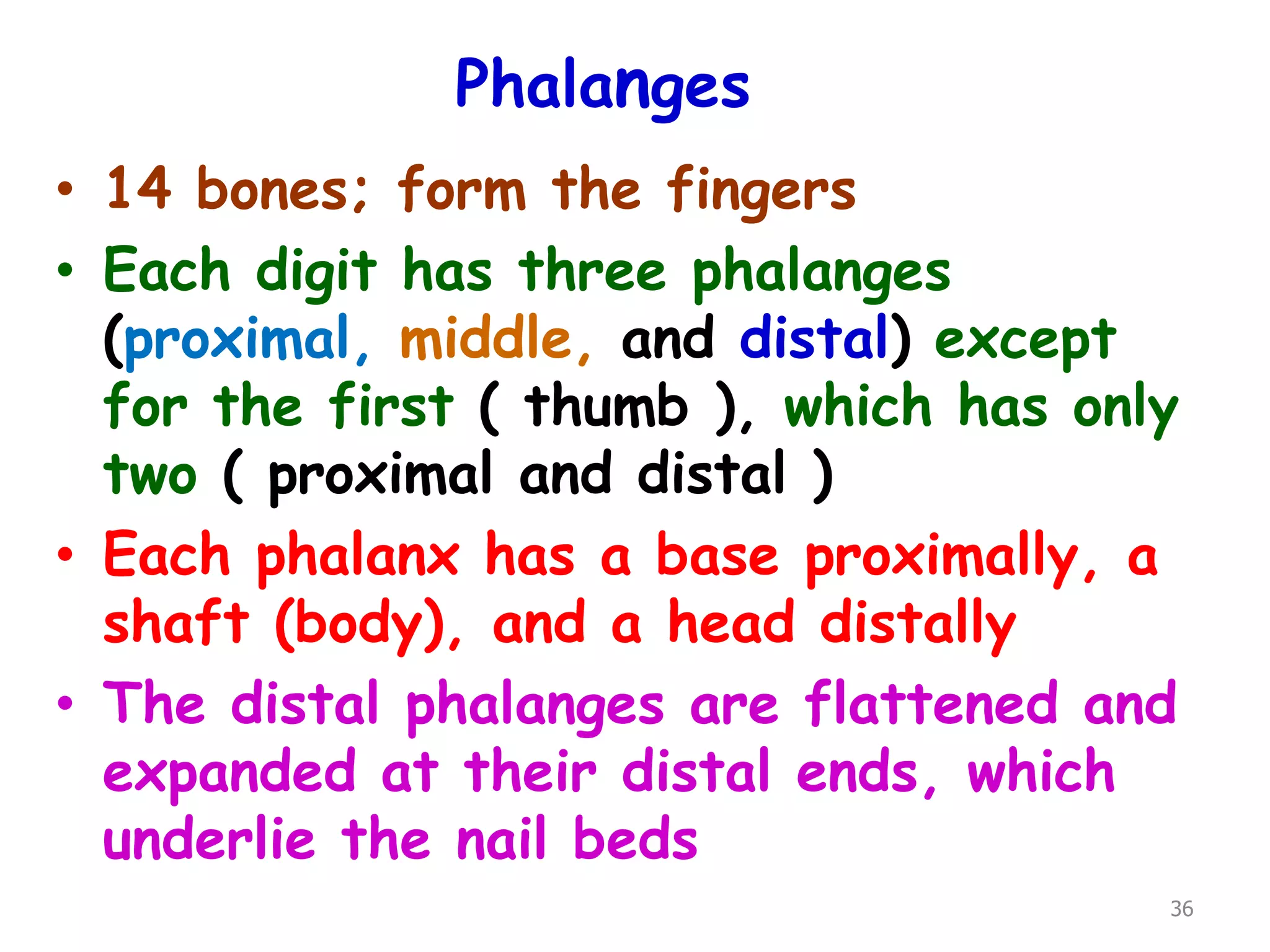 Upper limb .ppt