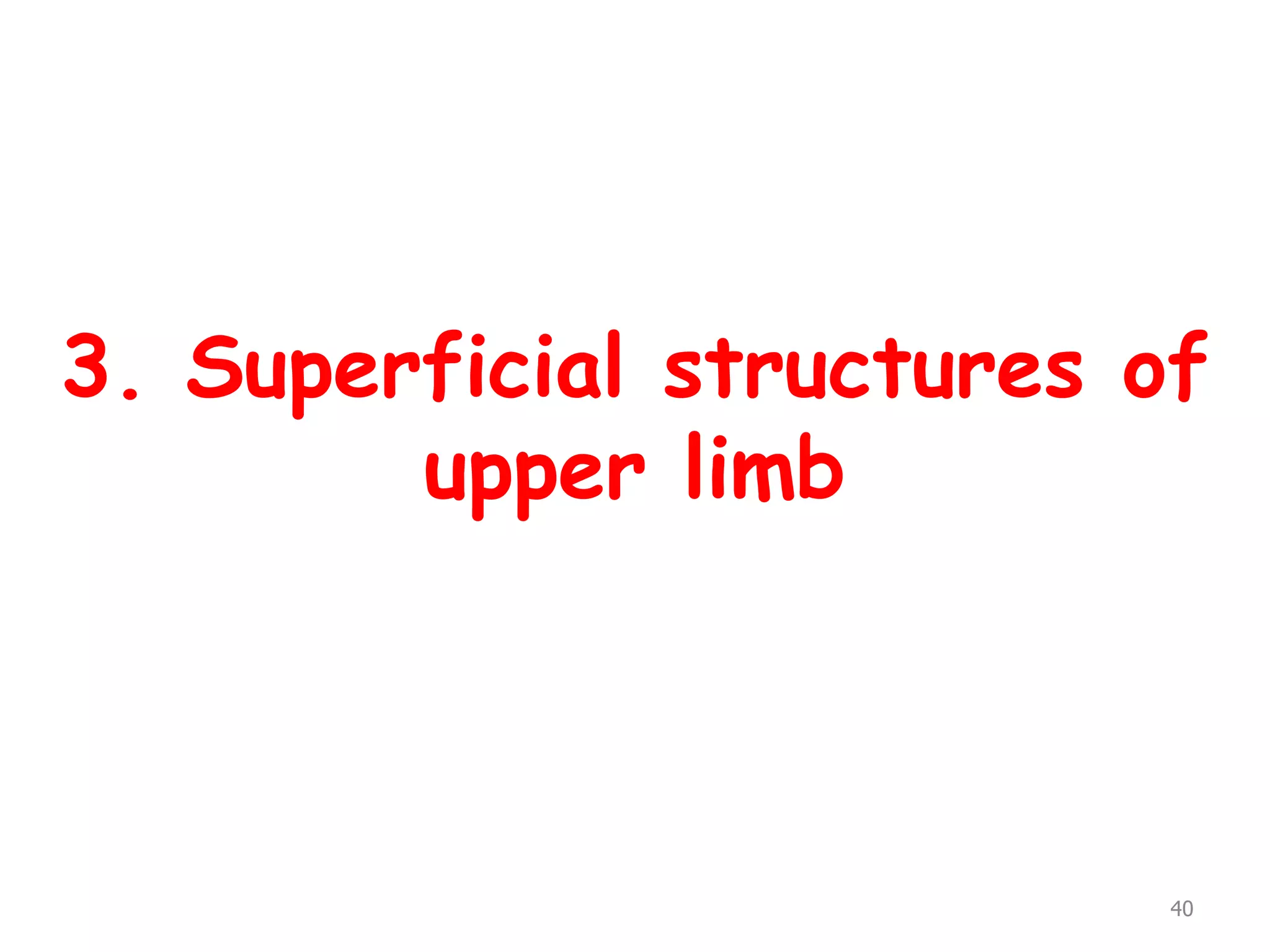Upper limb .ppt