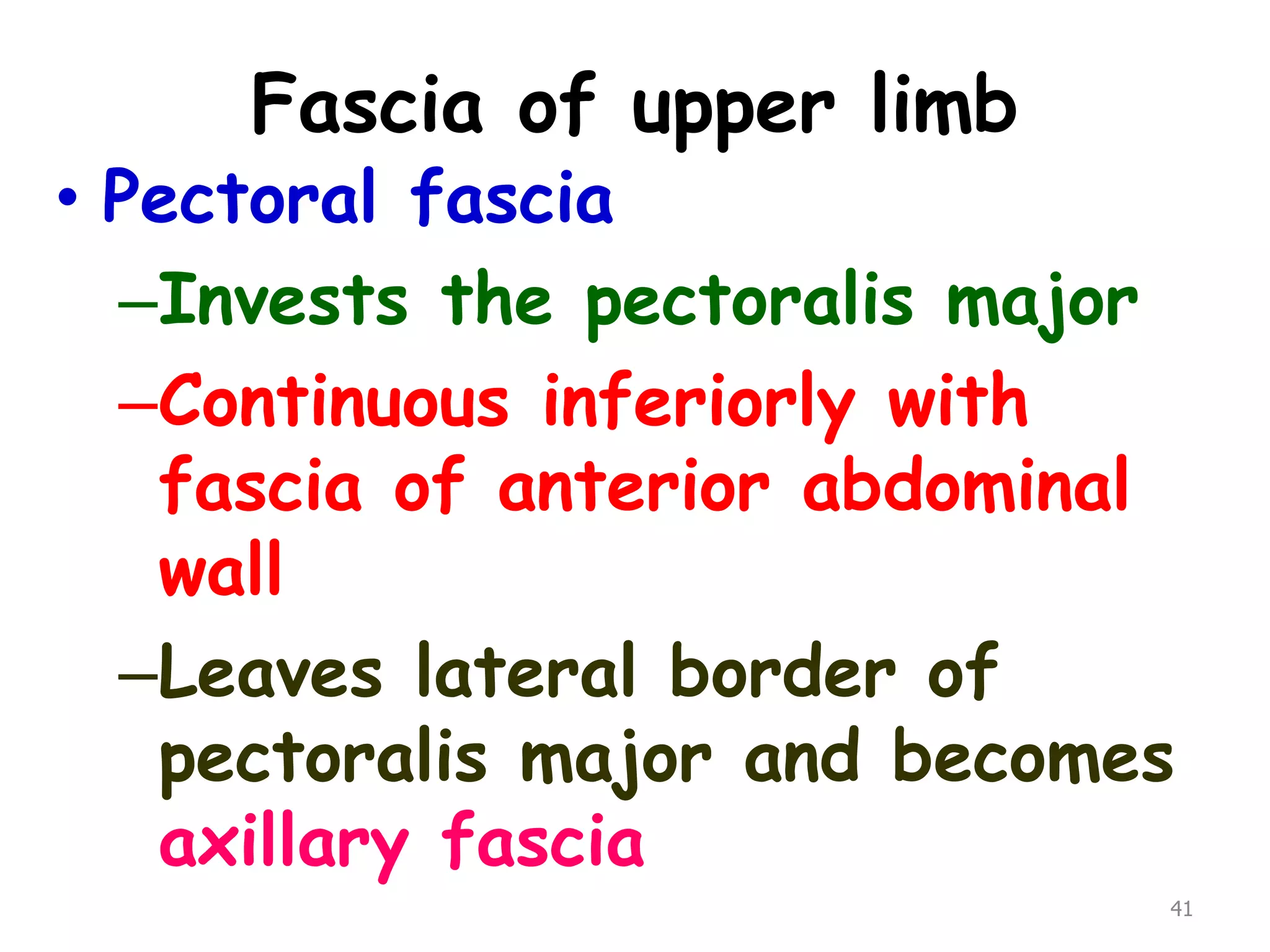 Upper limb .ppt
