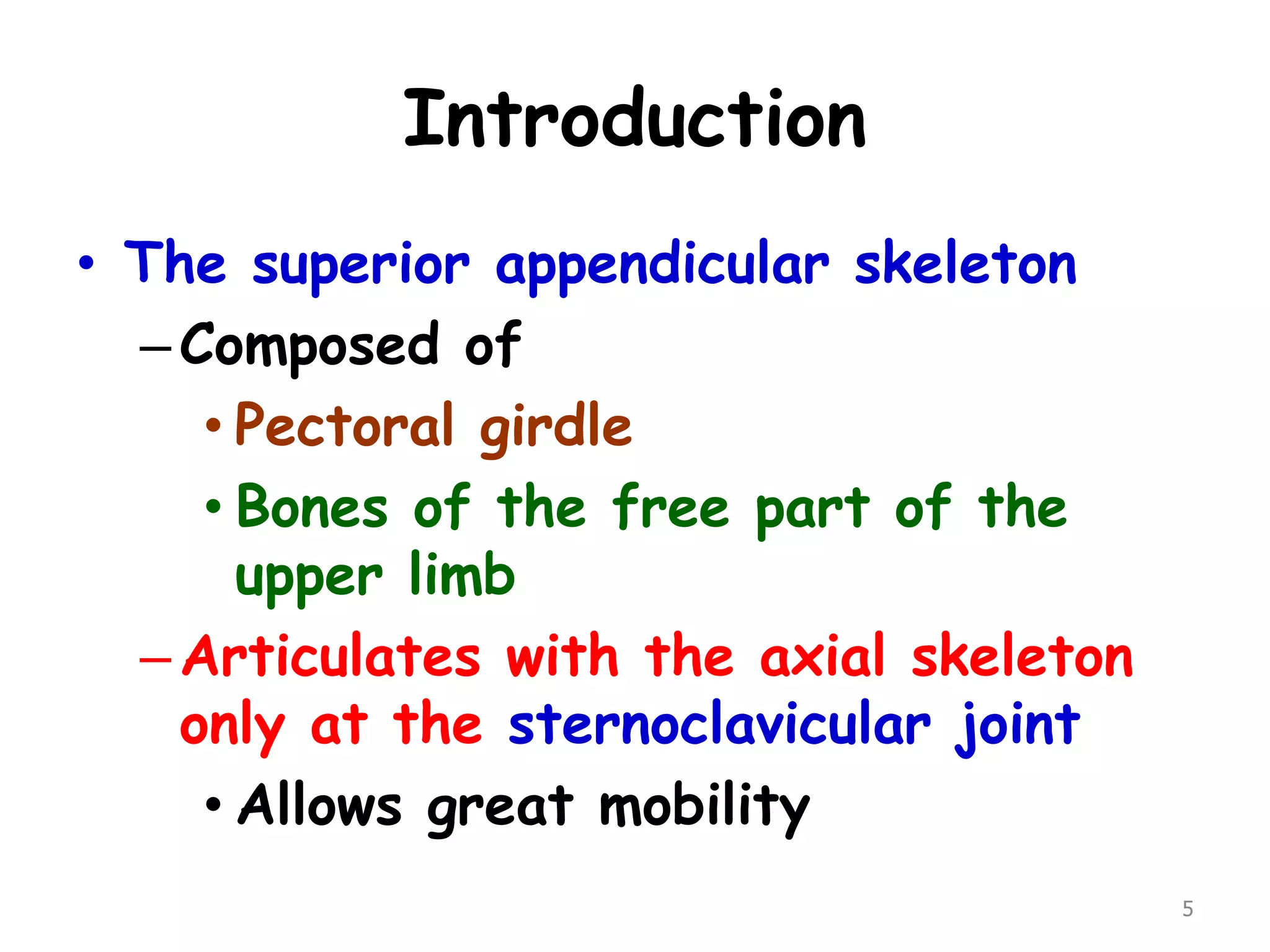 Upper limb .ppt