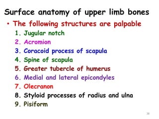 Upper limb .ppt