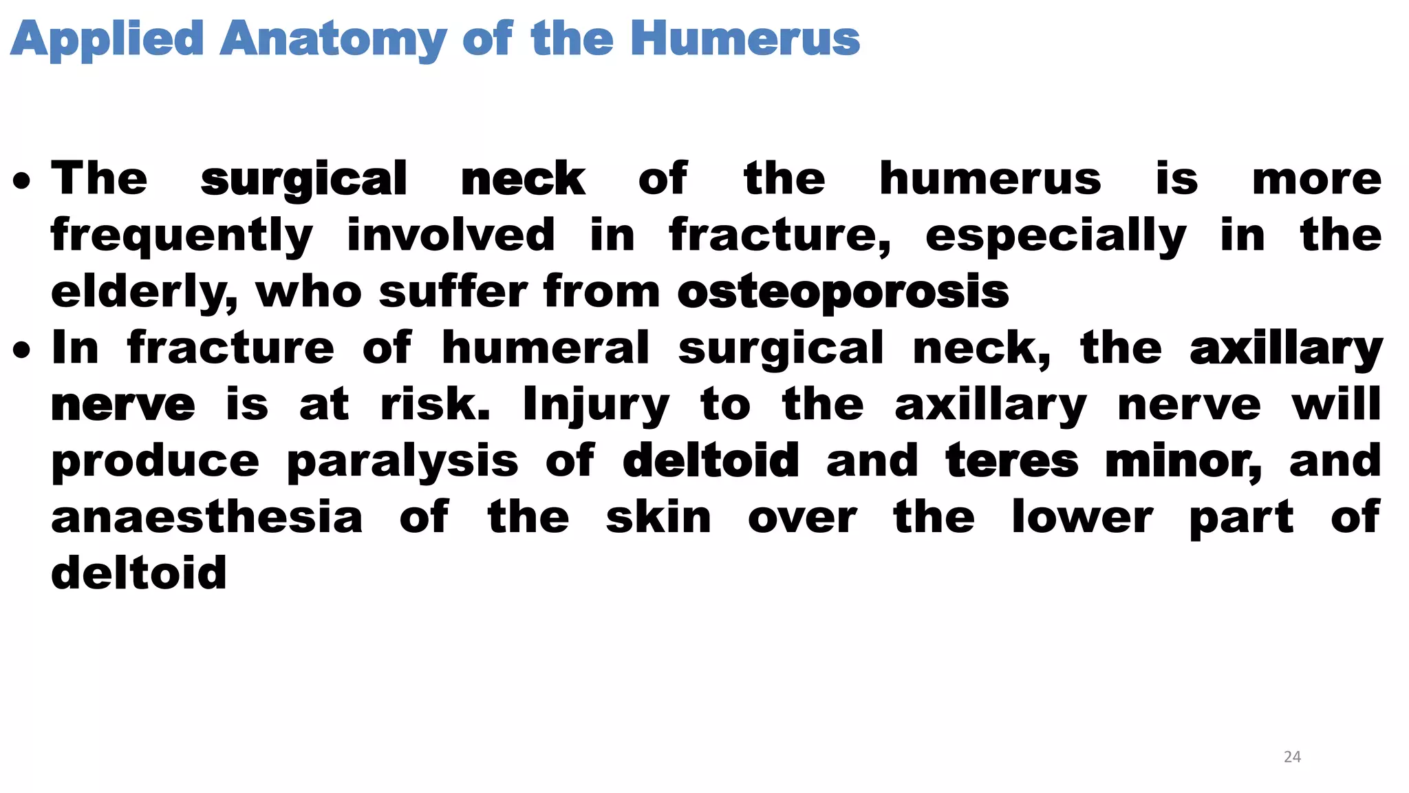 upper limb.pptx