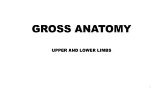 upper limb.pptx
