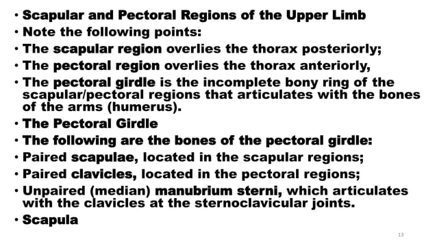 upper limb.pptx
