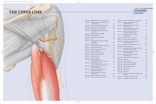 upper limb human body all image show .pdf